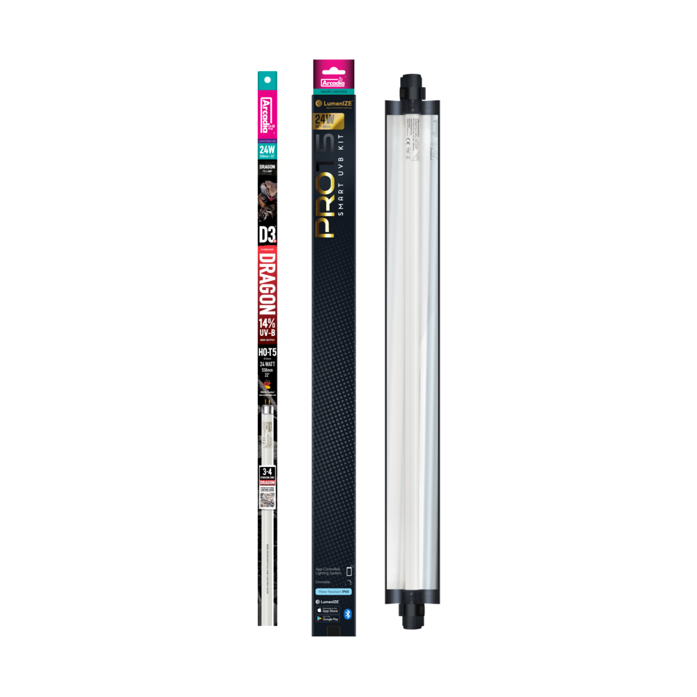 Rampe T5 connectée "LumenIZE Smart UVB Kit D3 and Dragon" - Arcadia