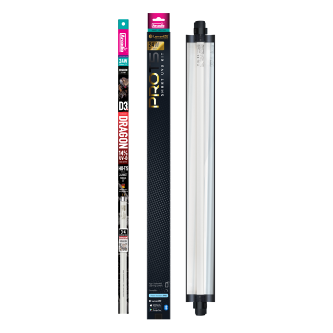Rampe T5 connectée "LumenIZE Smart UVB Kit D3 and Dragon" - Arcadia