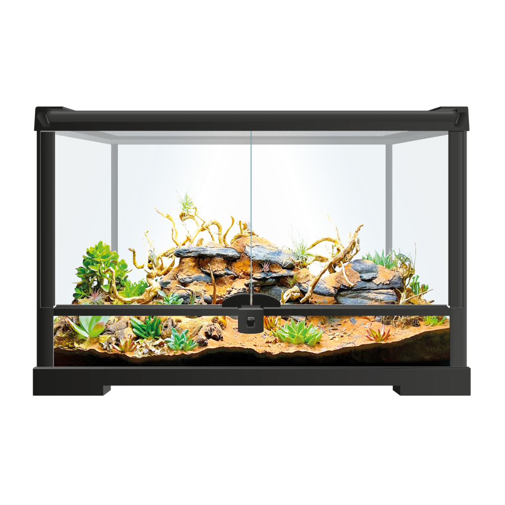 Terrarium Repto terra