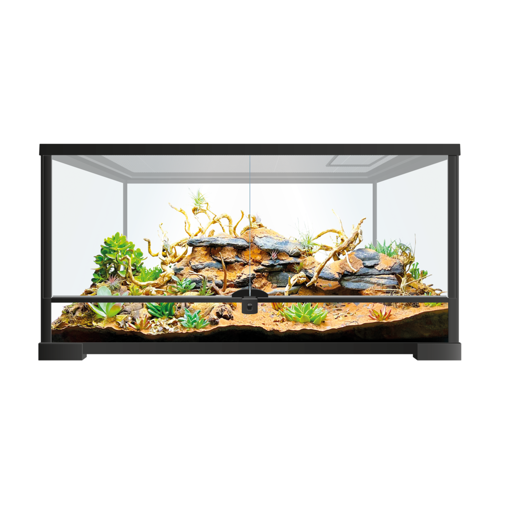 Terrarium Repto terra
