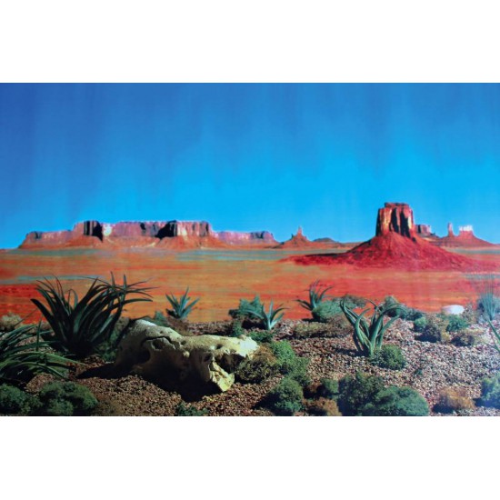 poster désert pour terrarium