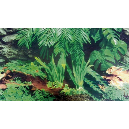 Poster tropical pour terrarium