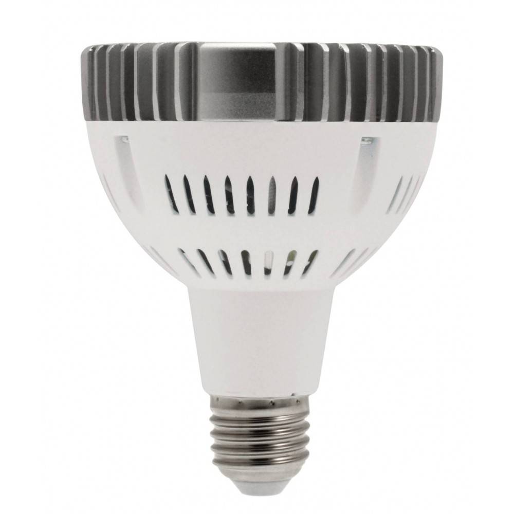 Lampe à LED Reptile System - New Dawn