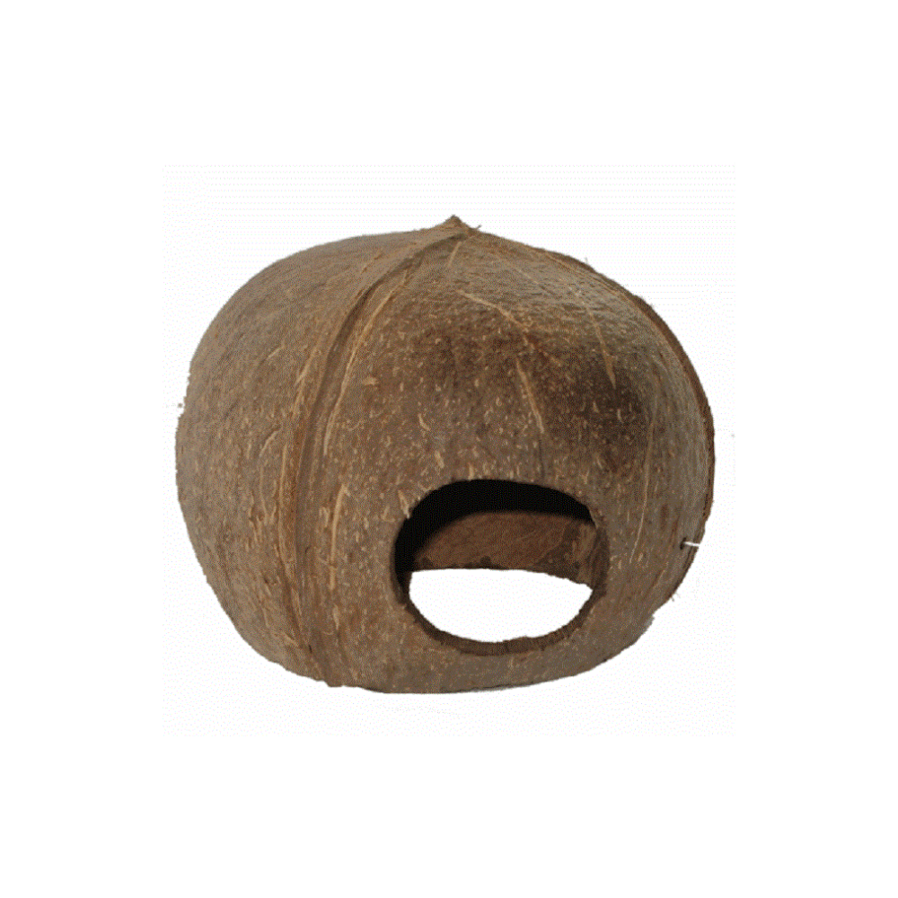 Cachette noix de coco "Coco cave "- Lucky Reptile