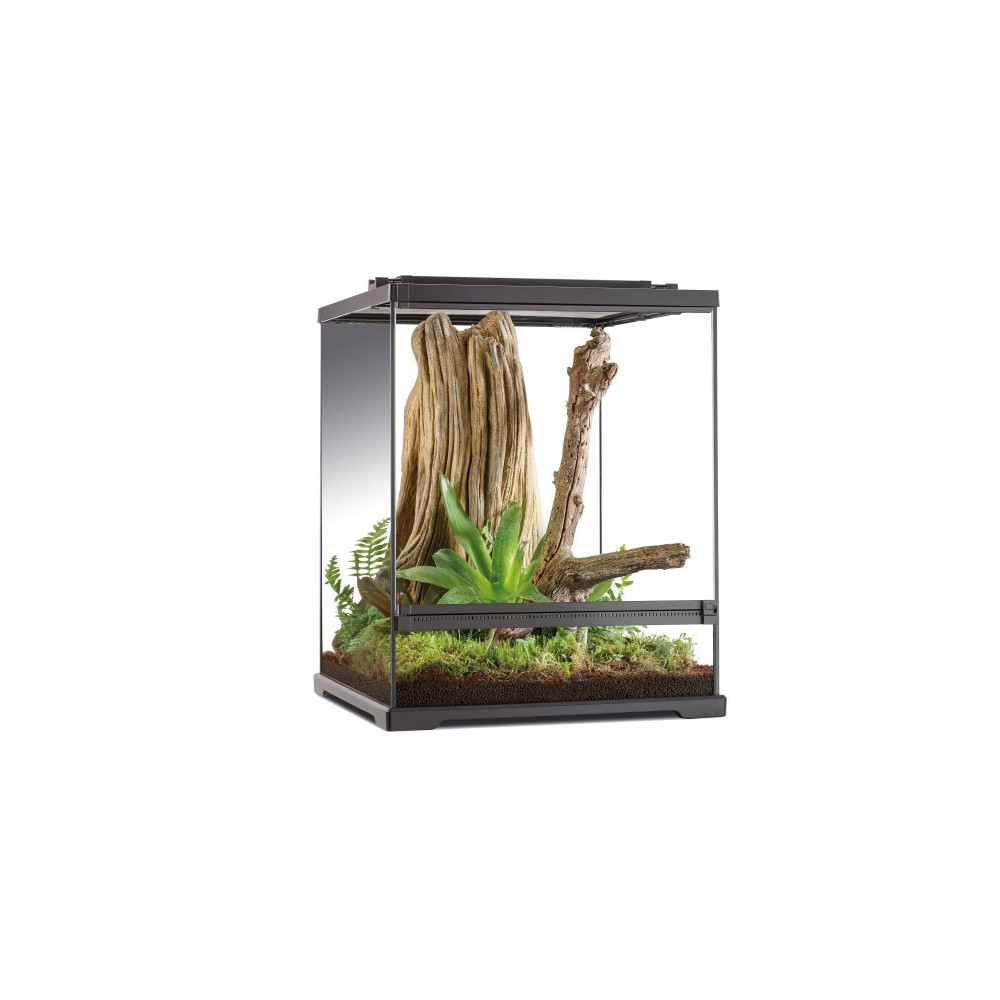 Matériel et accessoires terrariophiles - Bebesaurus à Lyon